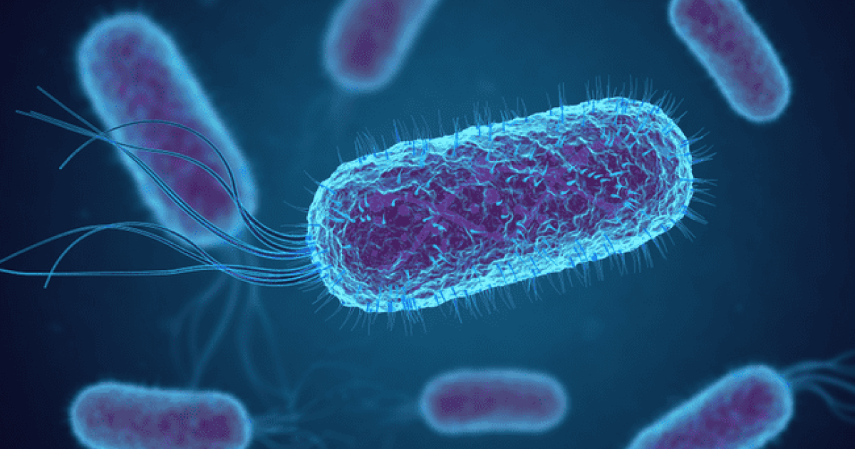 Understanding urinary tract infections